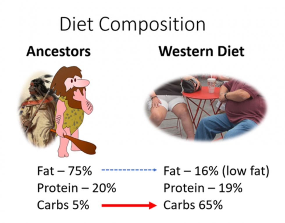 Modern Diet and Lifestyle Diseases - Wellness EQ