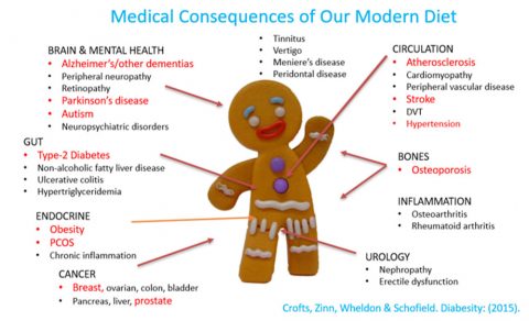 Modern Diet and Lifestyle Diseases - Wellness EQ